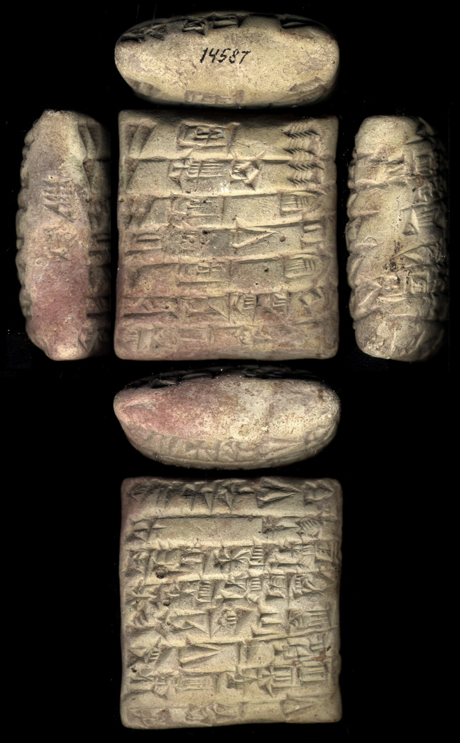 Hermitage 3, 382 (P211954) - Cuneiform Digital Library Initiative