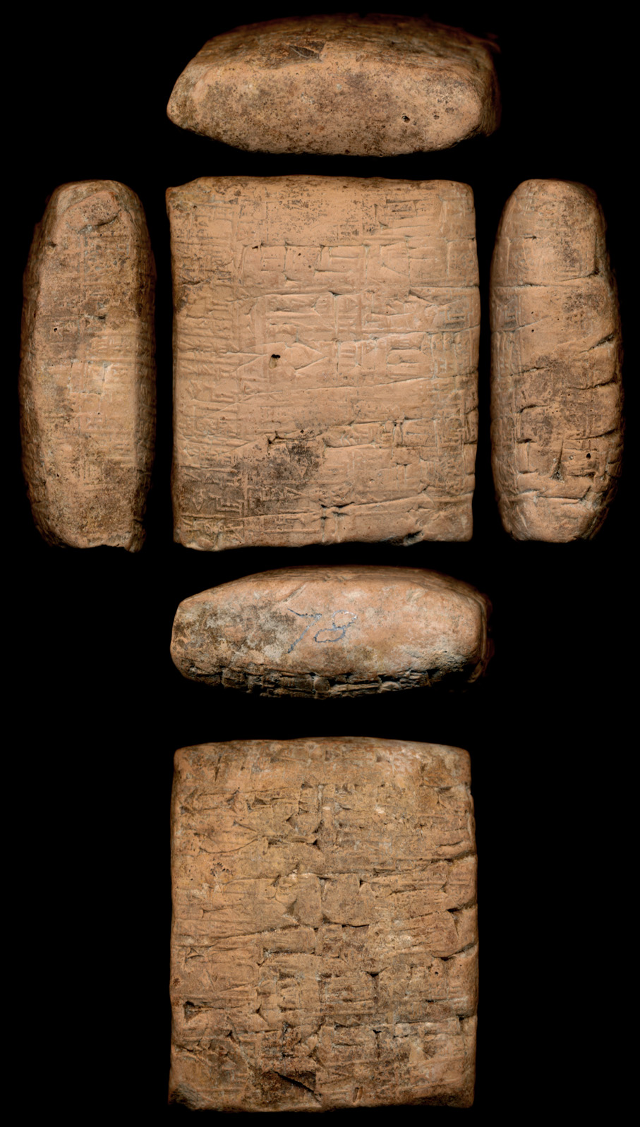 Nisaba 30, 78 (P332388) - Cuneiform Digital Library Initiative