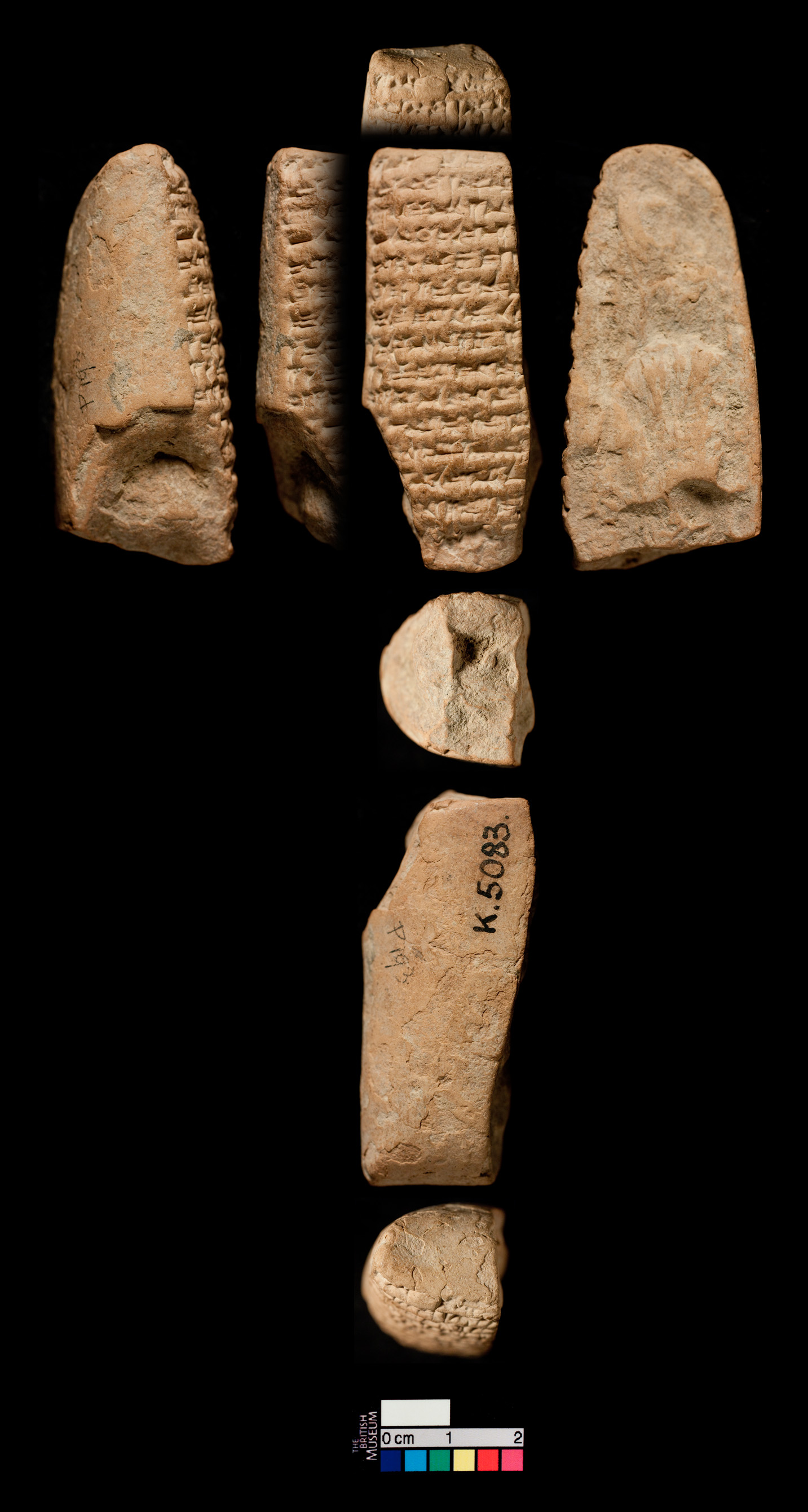 ABL 1312 (P334846) - Cuneiform Digital Library Initiative